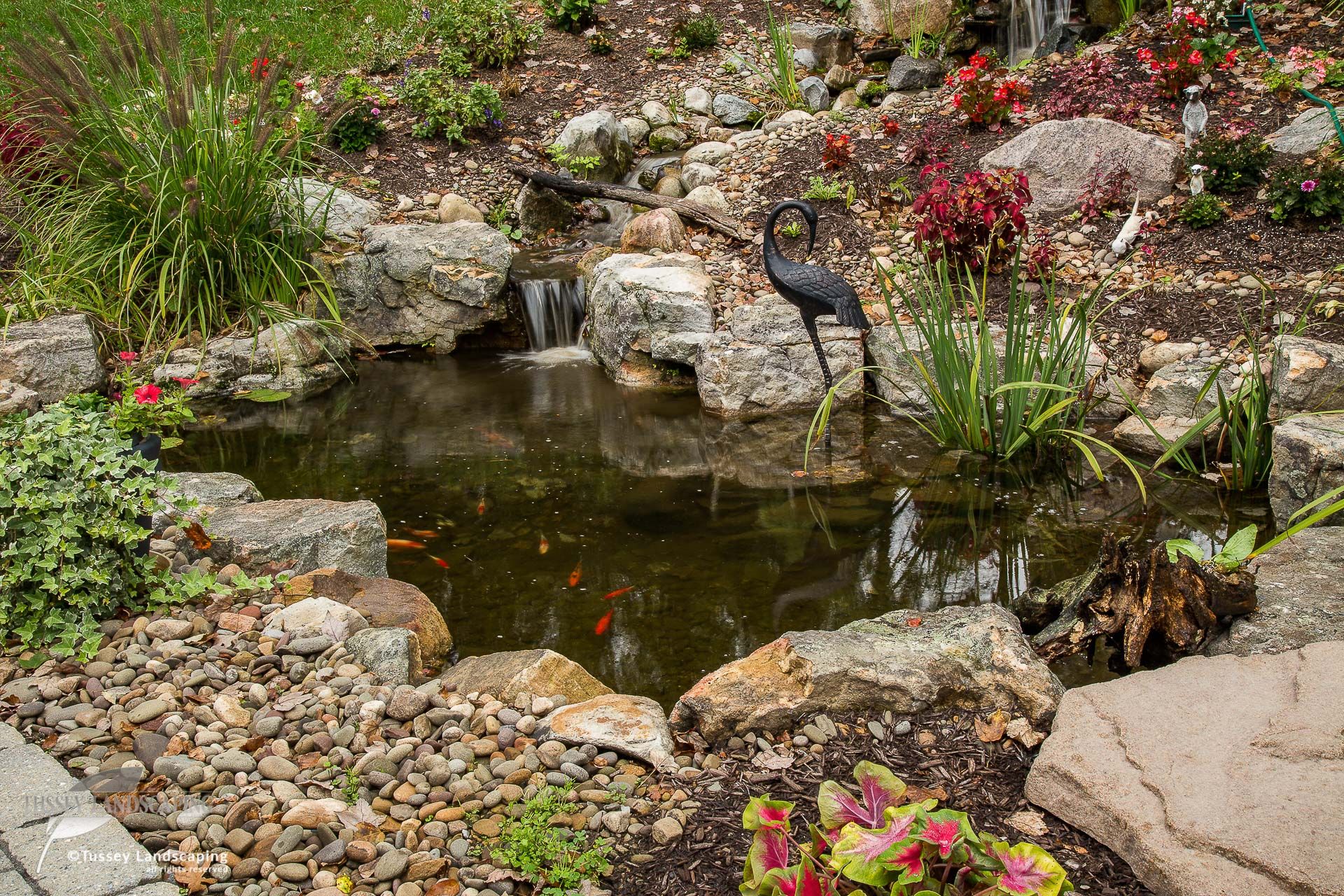 Pond Sales in Central PA - Koi Ponds - Tussey Landscaping