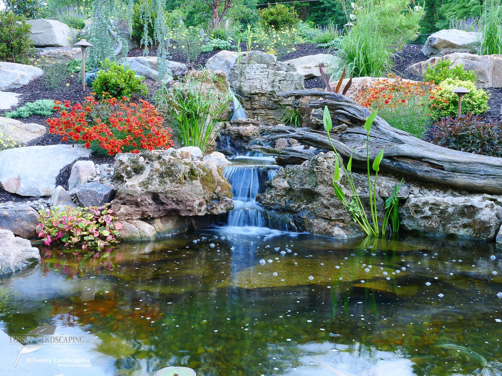 Pond Sales in Central PA - Koi Ponds - Tussey Landscaping